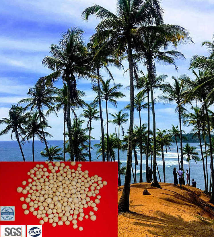 magnesium sulphate for coconut tree