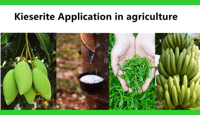 Magnesium fertilizer，kieserite magnesium