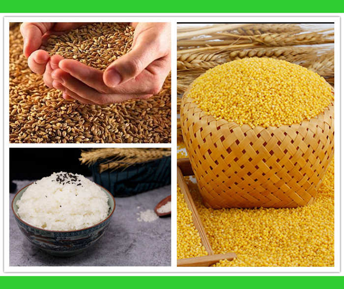 mgso4 monohydrate，mgo fertilizer