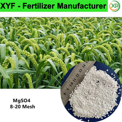 mag sulfate for plants