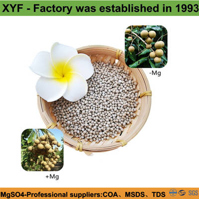 Magnesium fertilizer，kieserite magnesium