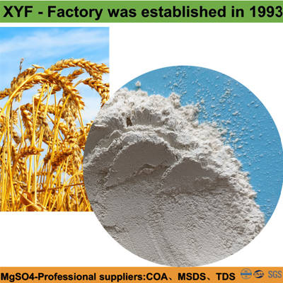 mgo company，magnesium oxide fertilizer