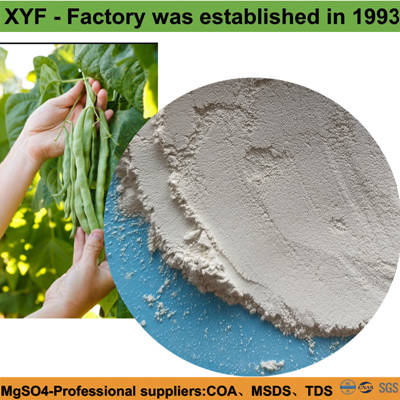 mgo company，magnesium oxide fertilizer