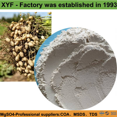 mgo company，magnesium oxide fertilizer